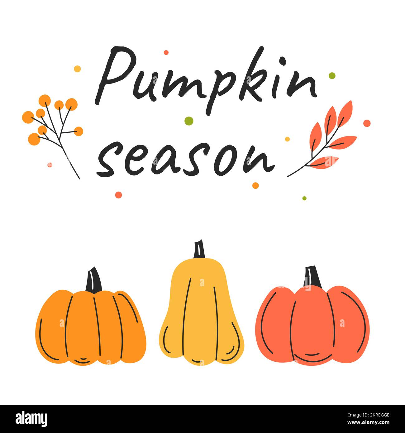 Thanksgiving background pumpkins retro card Stock Vector Images - Alamy