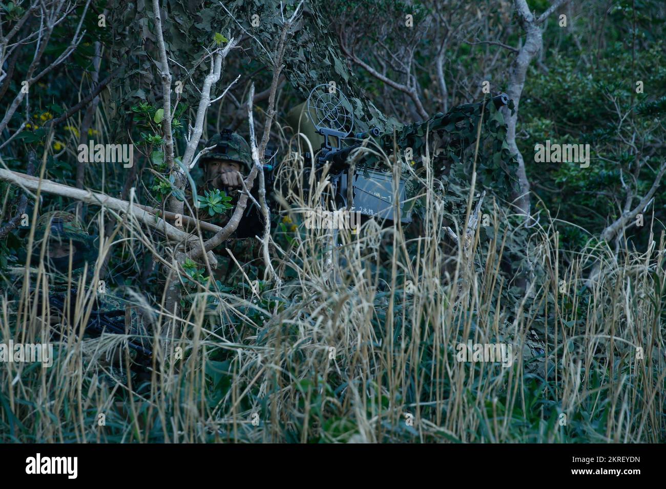 Members of the Japan Self-Defense Force Amphibious Rapid Deployment ...