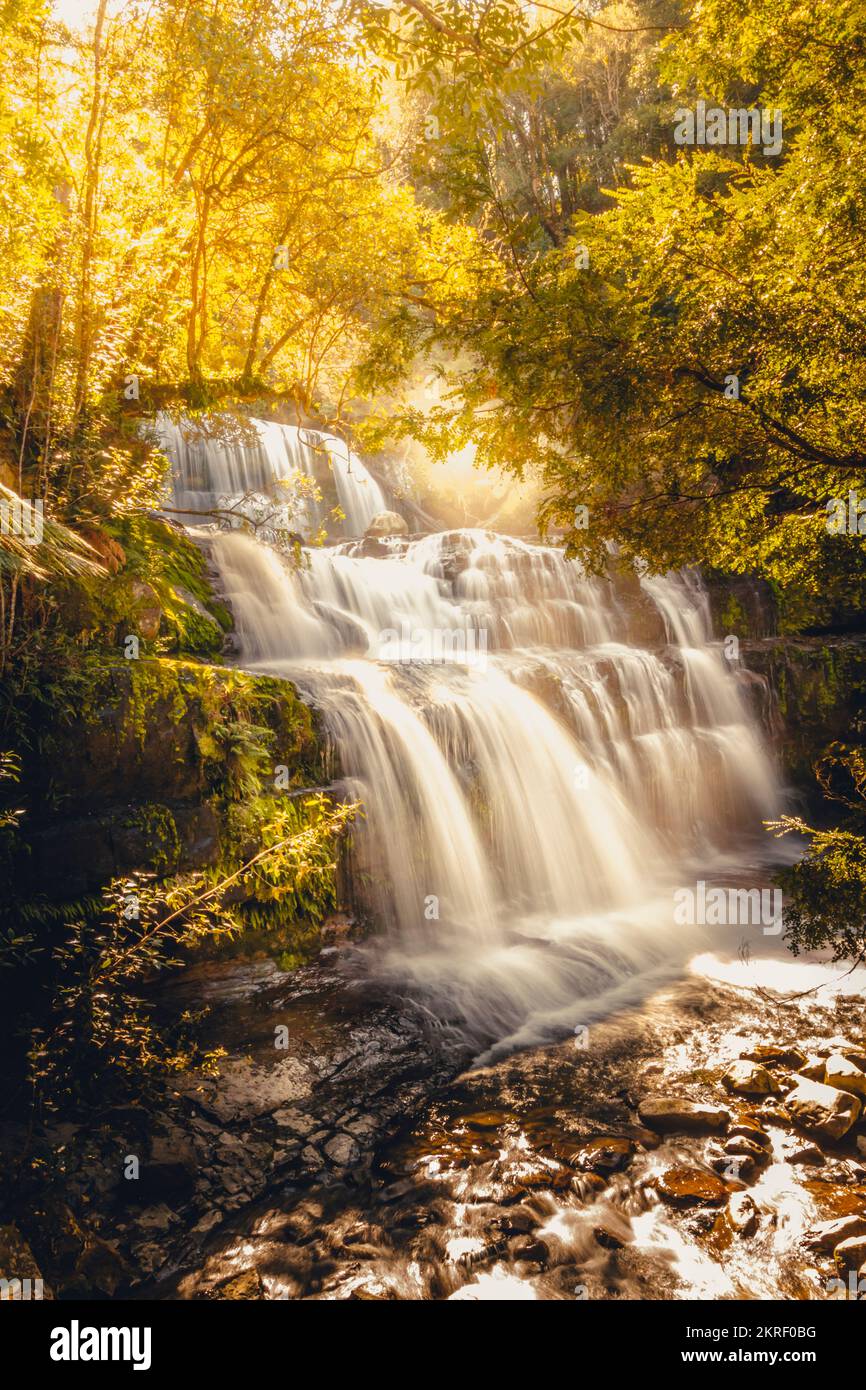 Fall of remote jungle waters captured in a long peaceful morning ...