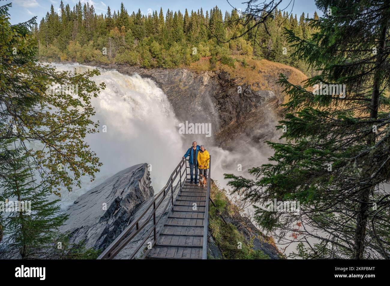 Couple standing on viewpoint bridge at Famous waterfall Tannforsen ...