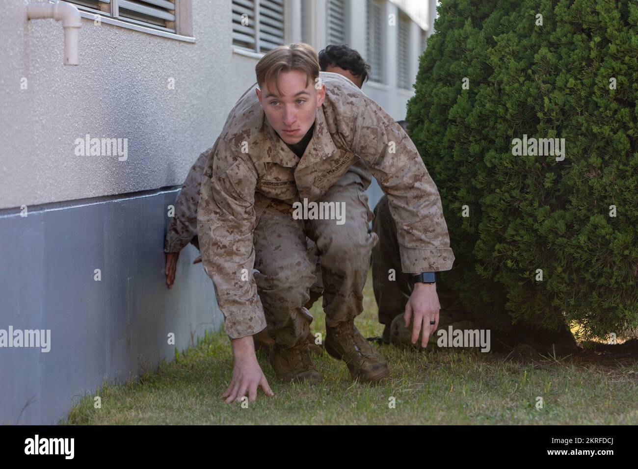 Role players sneak behind bushes during an infiltration drill during ...
