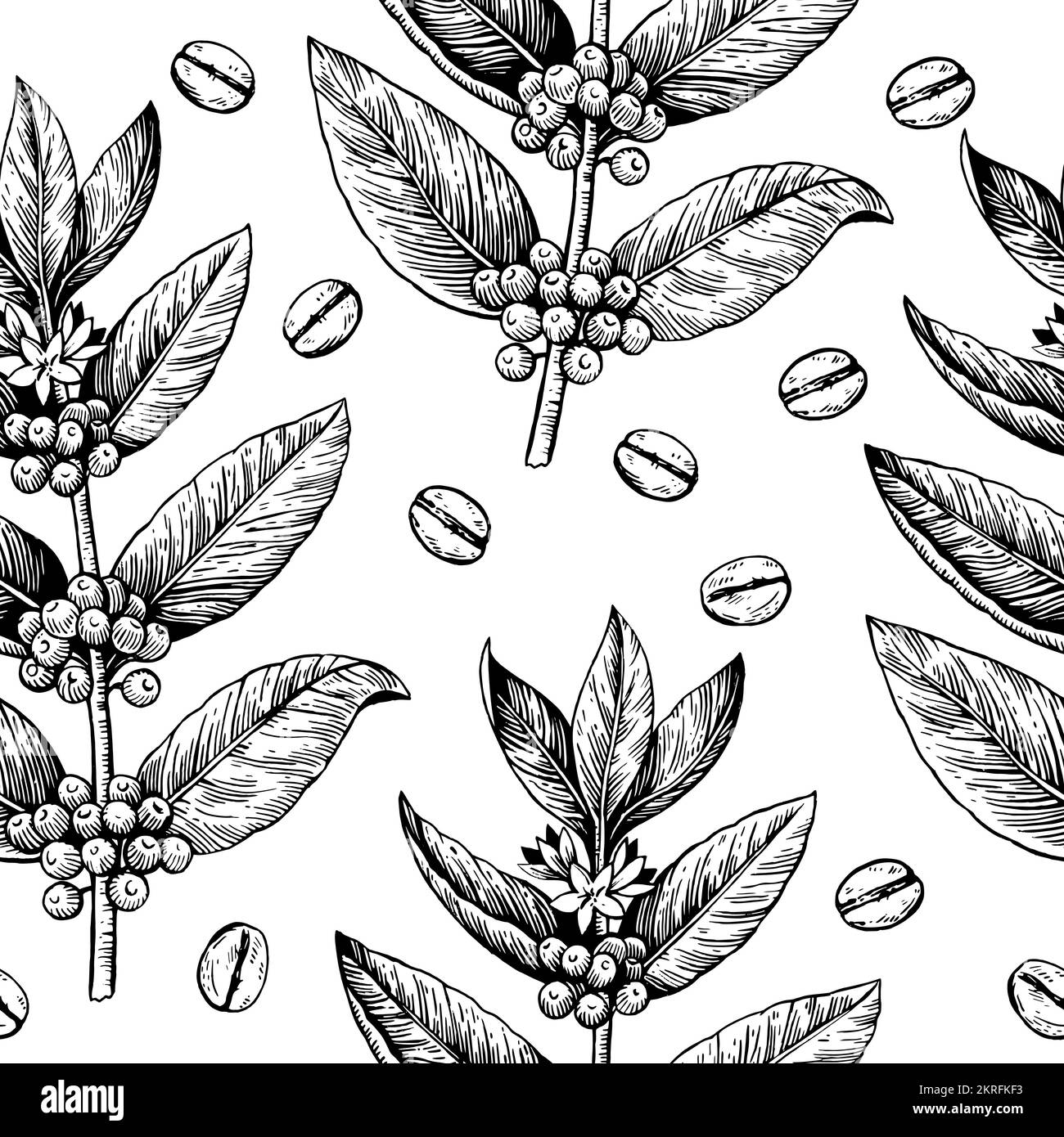 Coffee branches and beans. Seamless pattern in engraving vintage style ...