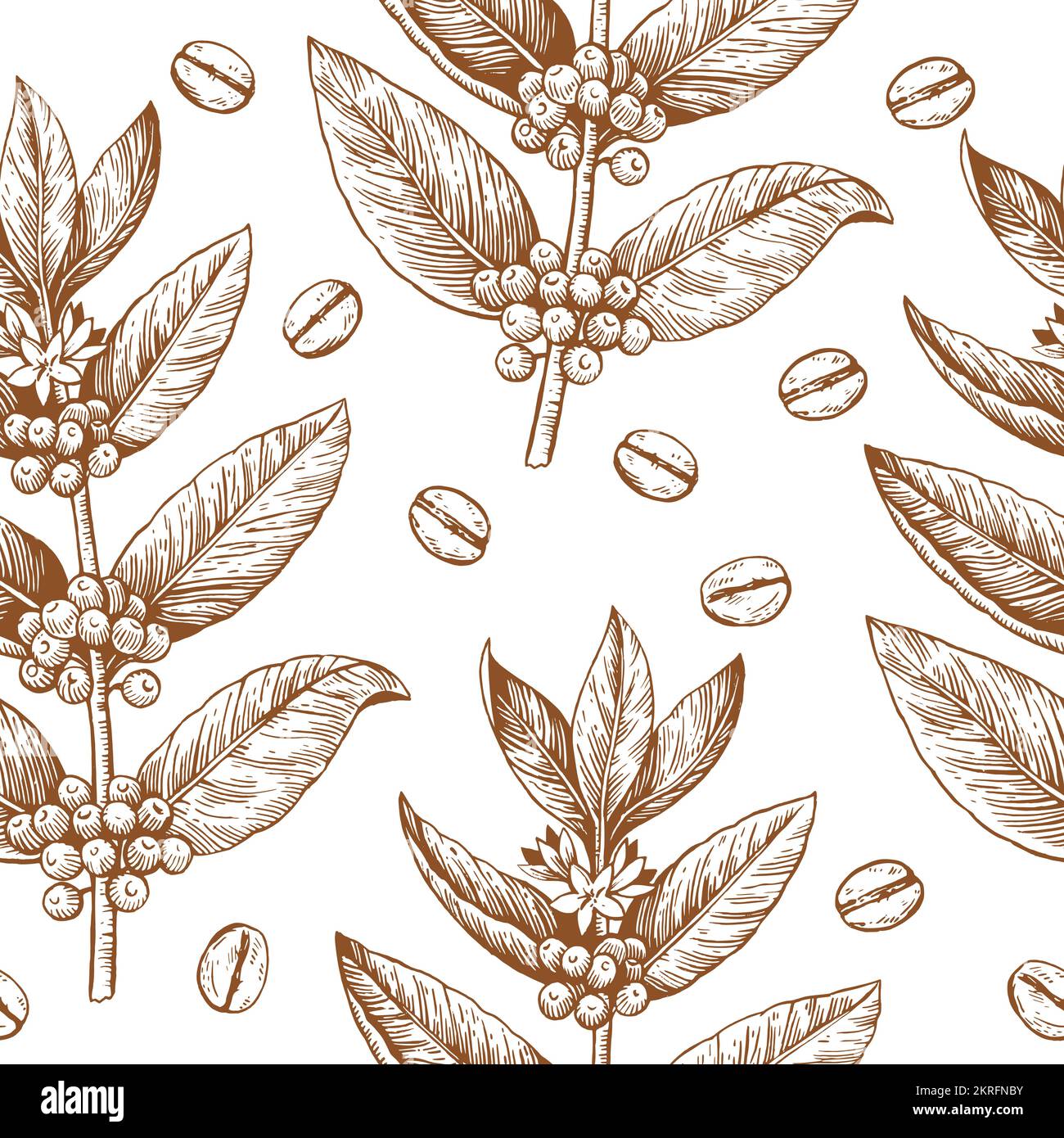 Coffee branches and beans. Seamless pattern in engraving vintage style. Vector drawing Stock ...