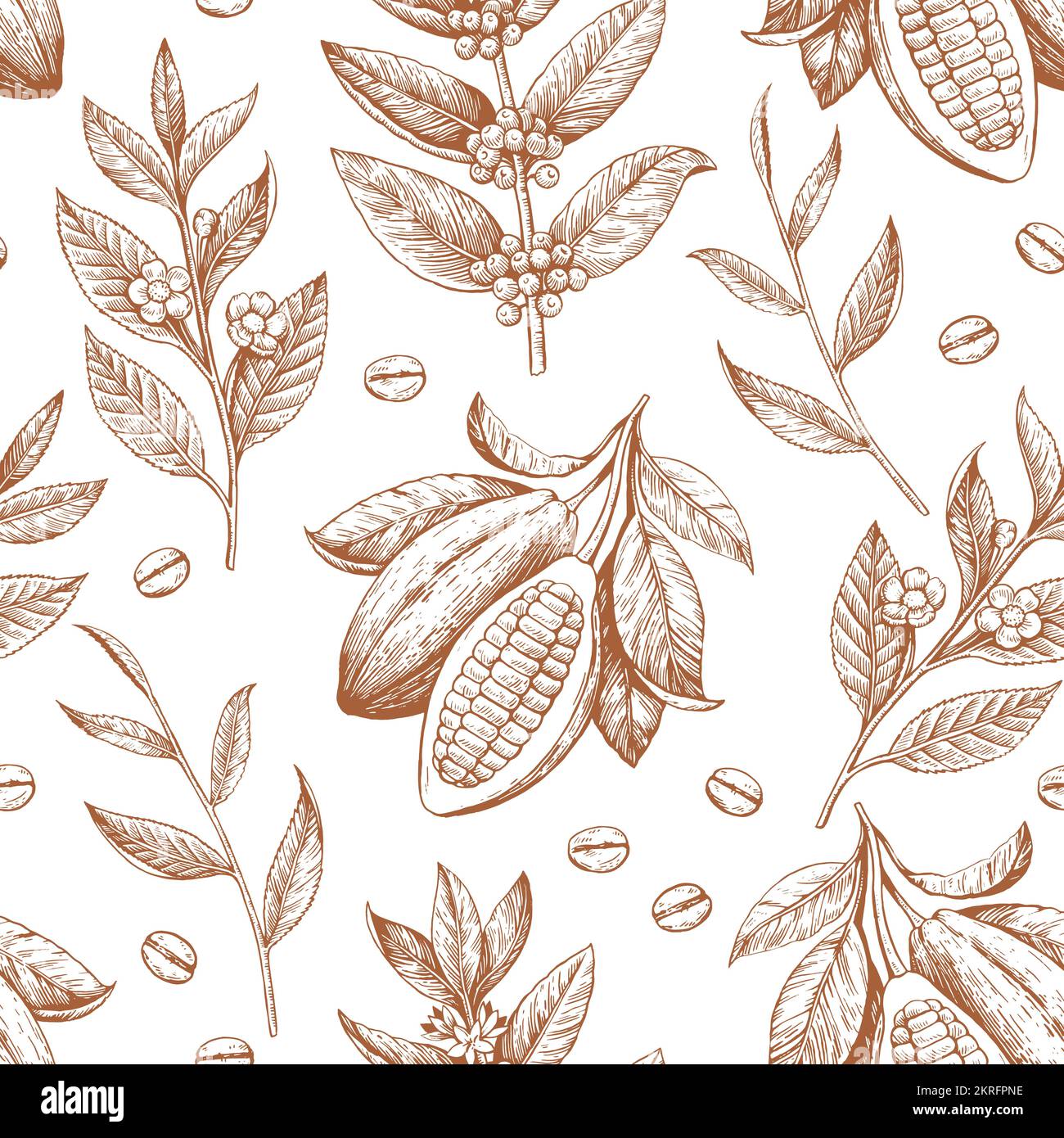 Cocoa beans, tea and coffee branches. Seamless pattern in engraving ...