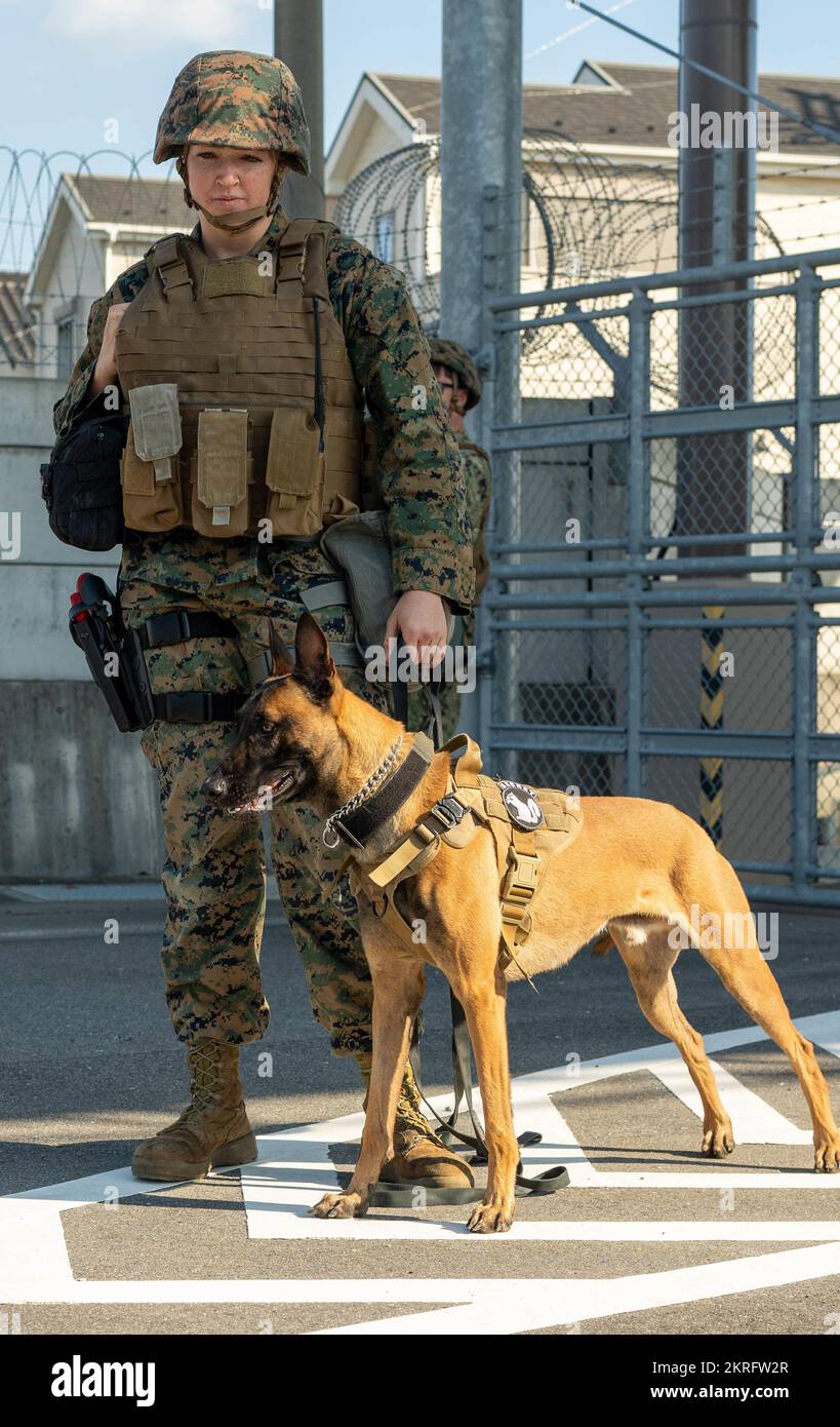 U.S. Marine Cpl. Sierra Parks, a military working dog handler assigned ...