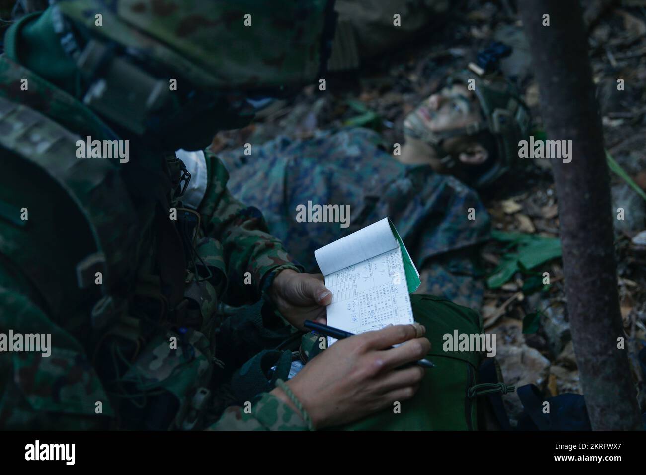 U.S. Marines with 1st Battalion, 2d Marines and members of the Japan ...