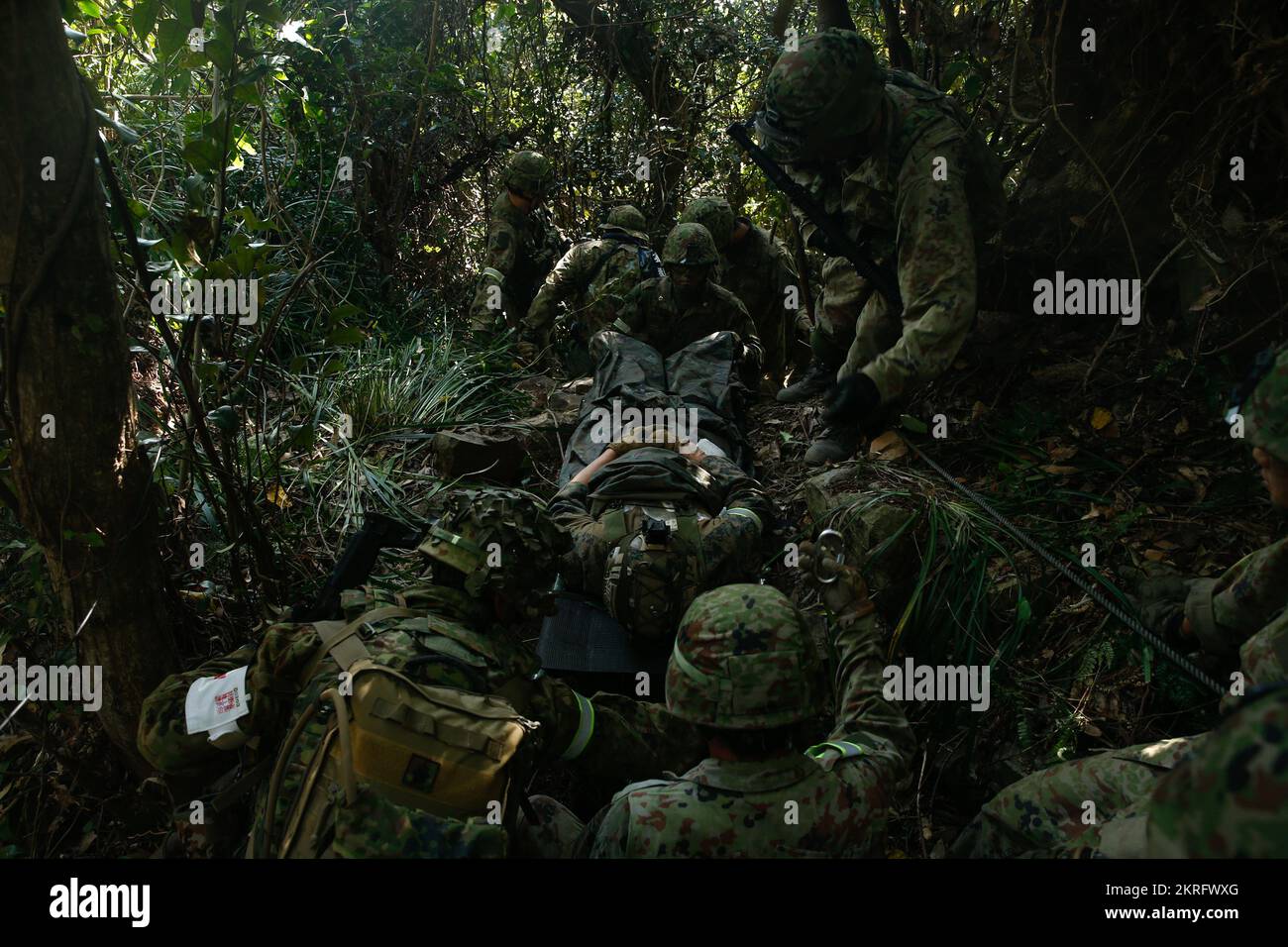 U.S. Marines with 1st Battalion, 2d Marines and members of the Japan ...