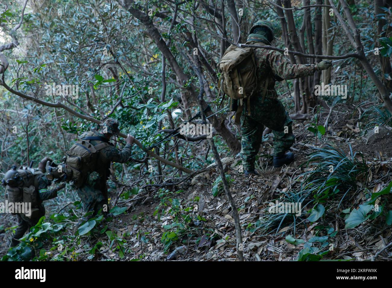 U.S. Marines with 1st Battalion, 2d Marines and members of the Japan ...