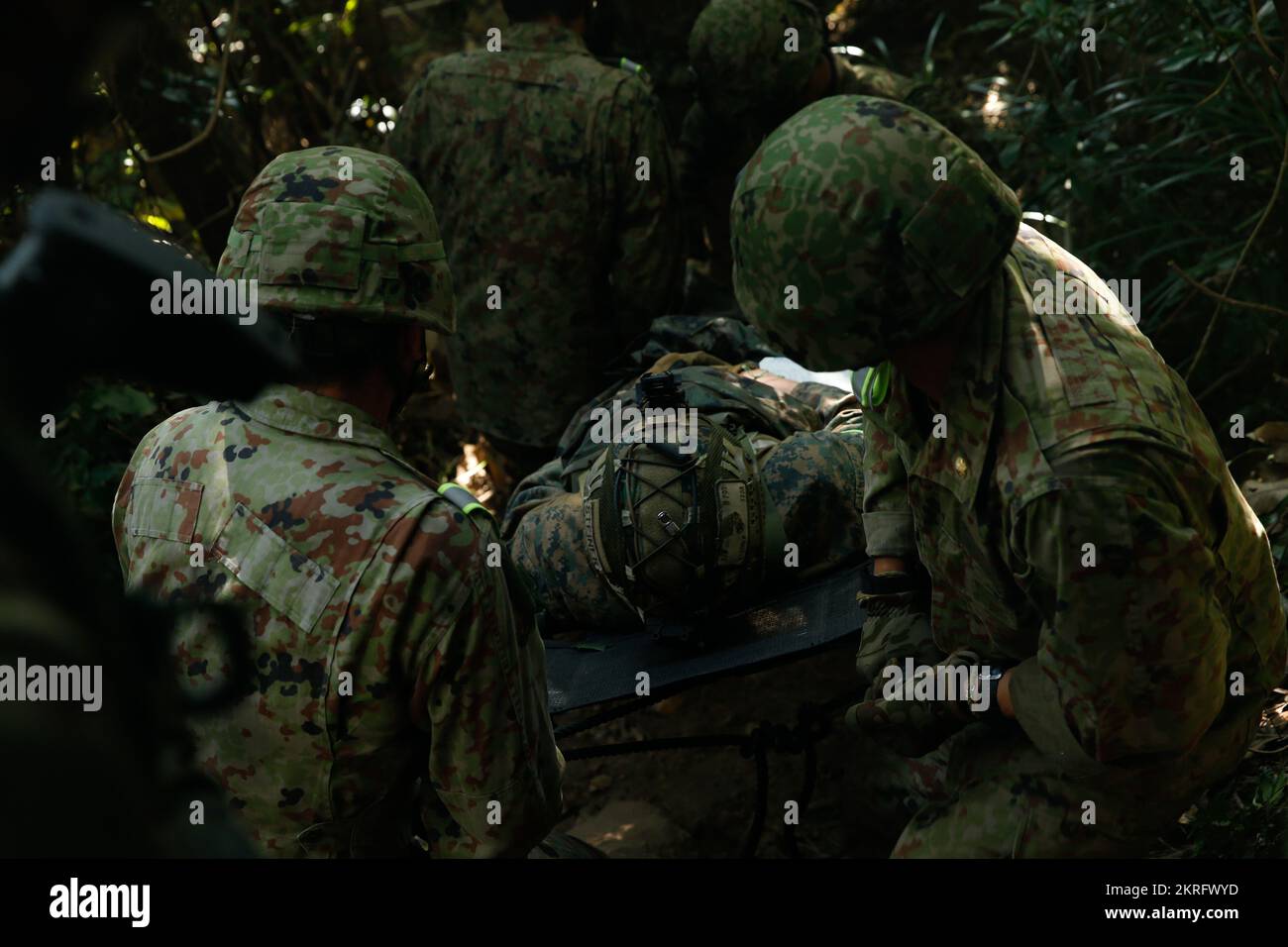 U.S. Marines with 1st Battalion, 2d Marines and members of the Japan ...