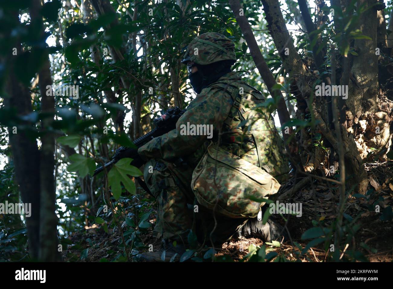 A member of the Japan Self-Defense Force Amphibious Rapid Deployment ...