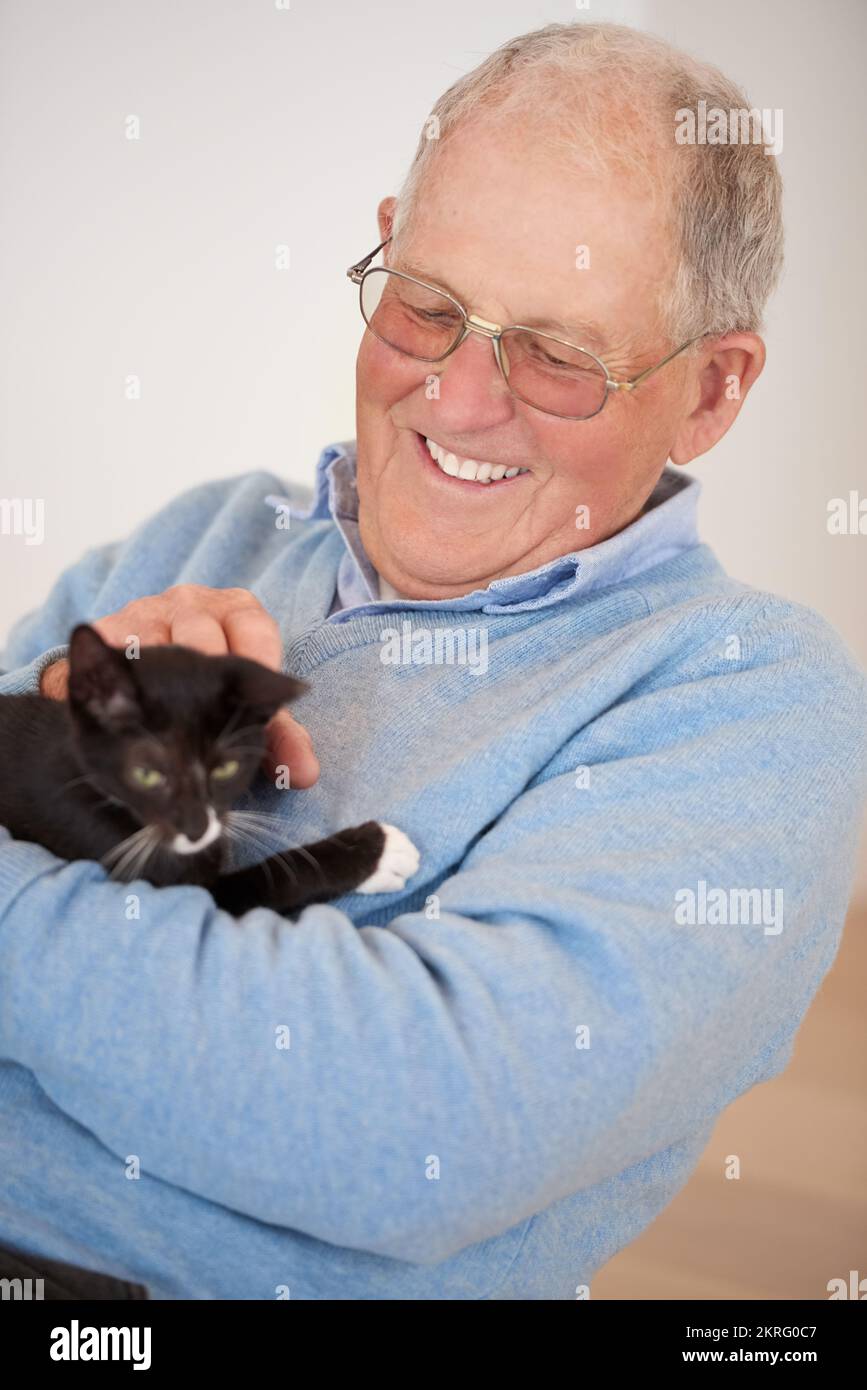 Caring for senior cat hi-res stock photography and images - Alamy