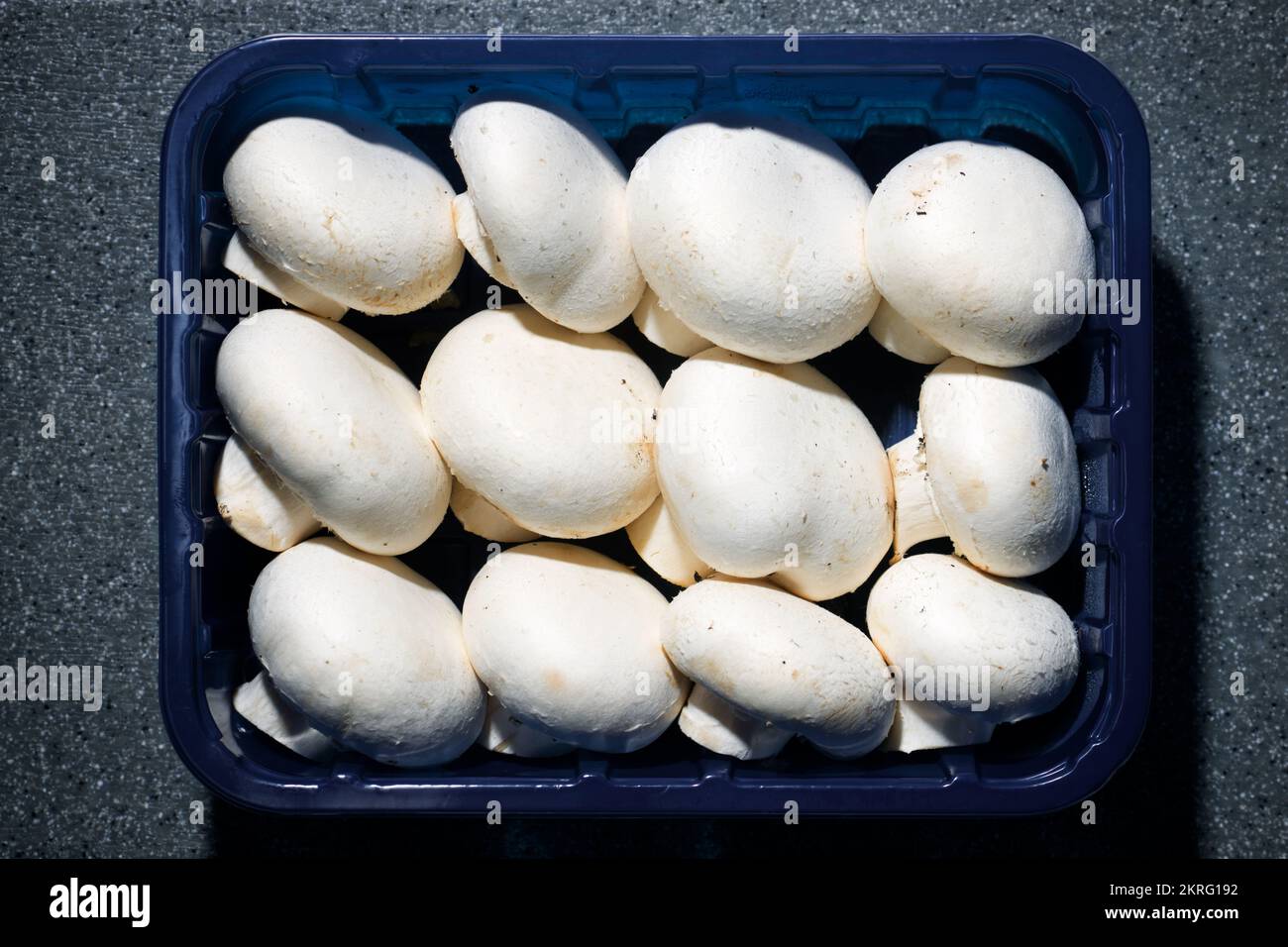 Plastic eating mushroom hi-res stock photography and images - Alamy