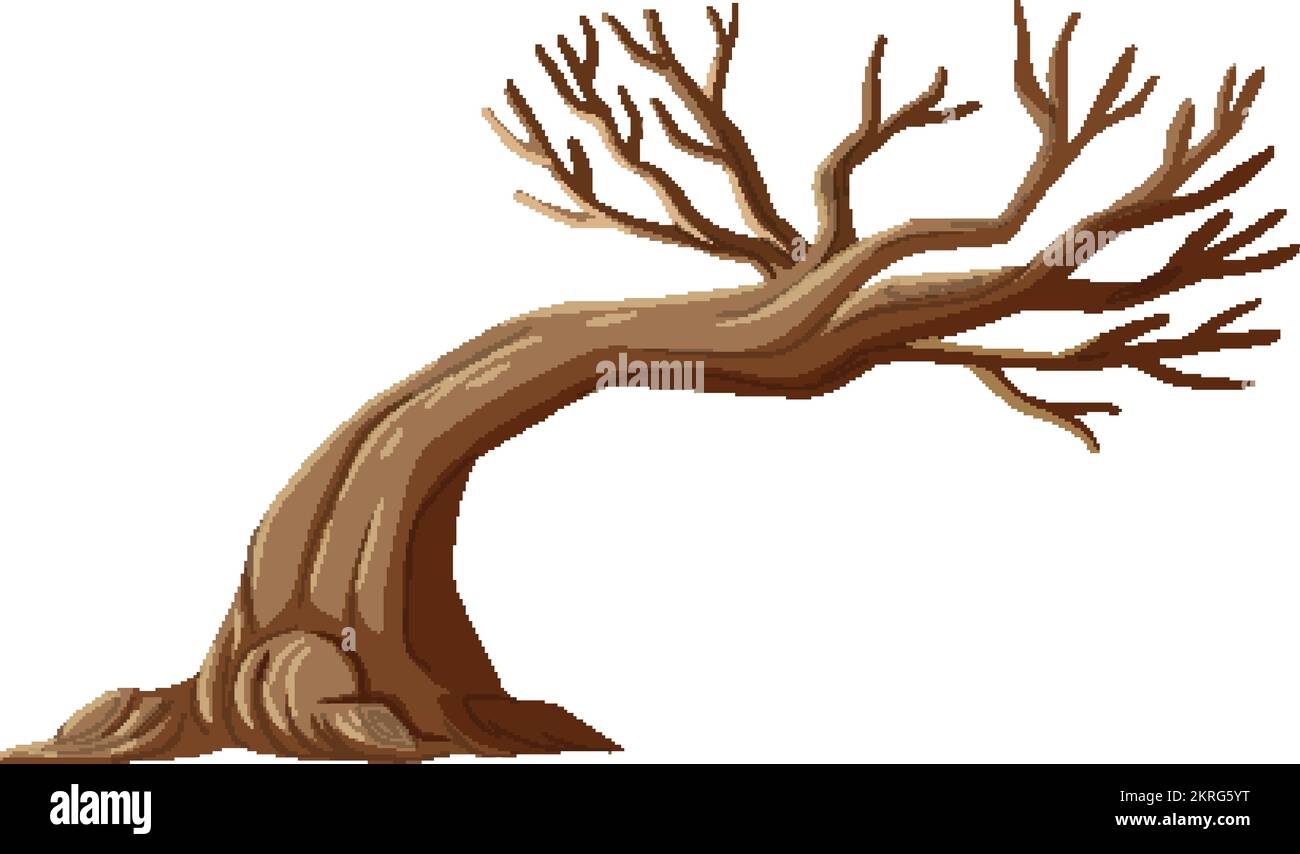 Cartoon Tree With Branches No Leaves