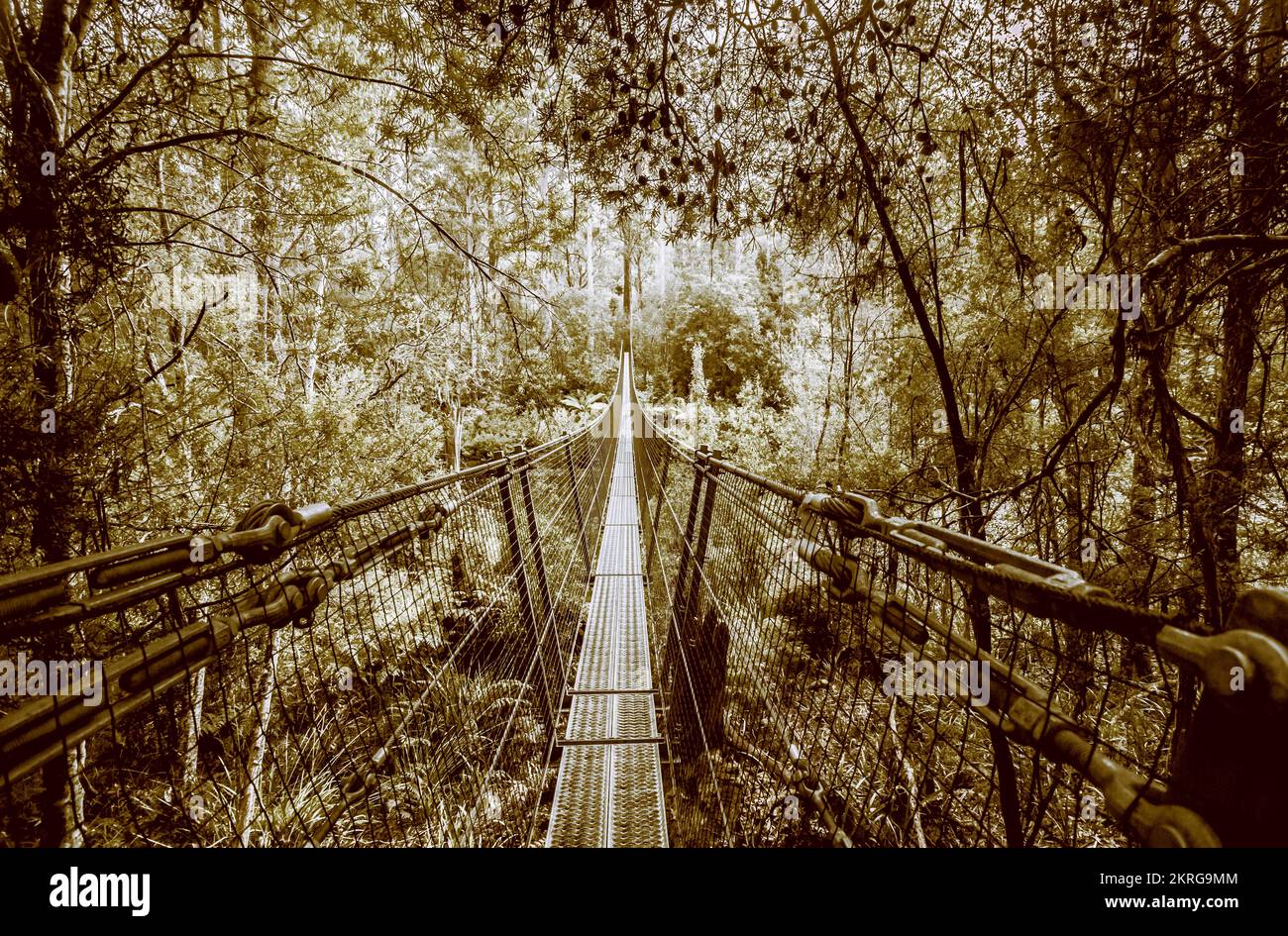 Huon swinging bridge hi-res stock photography and images - Alamy