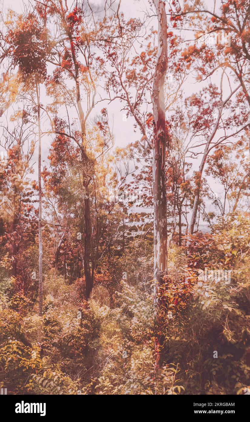 Selective views of warm country colours with a woodland view to golden ...