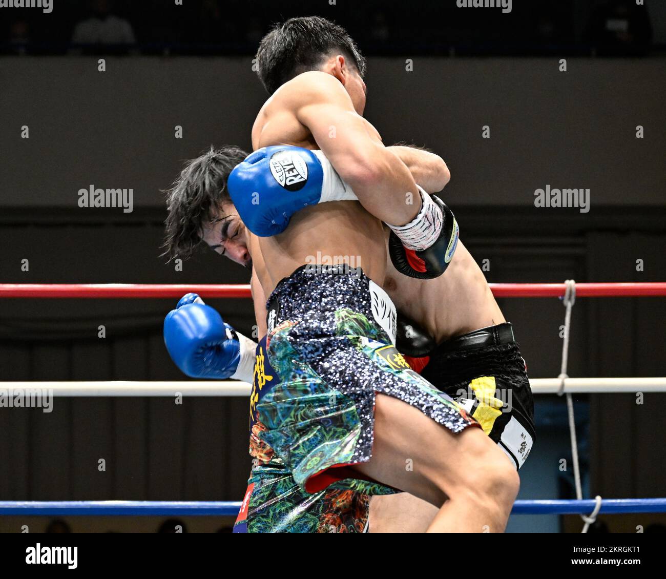 Tokyo, Japan. 17th Nov, 2022. Shu Utsuki (black gloves) and Jirolian ...