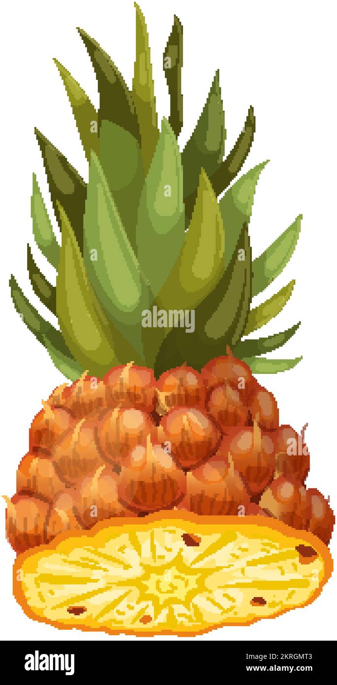 Ananas anana Stock Vector Images - Alamy