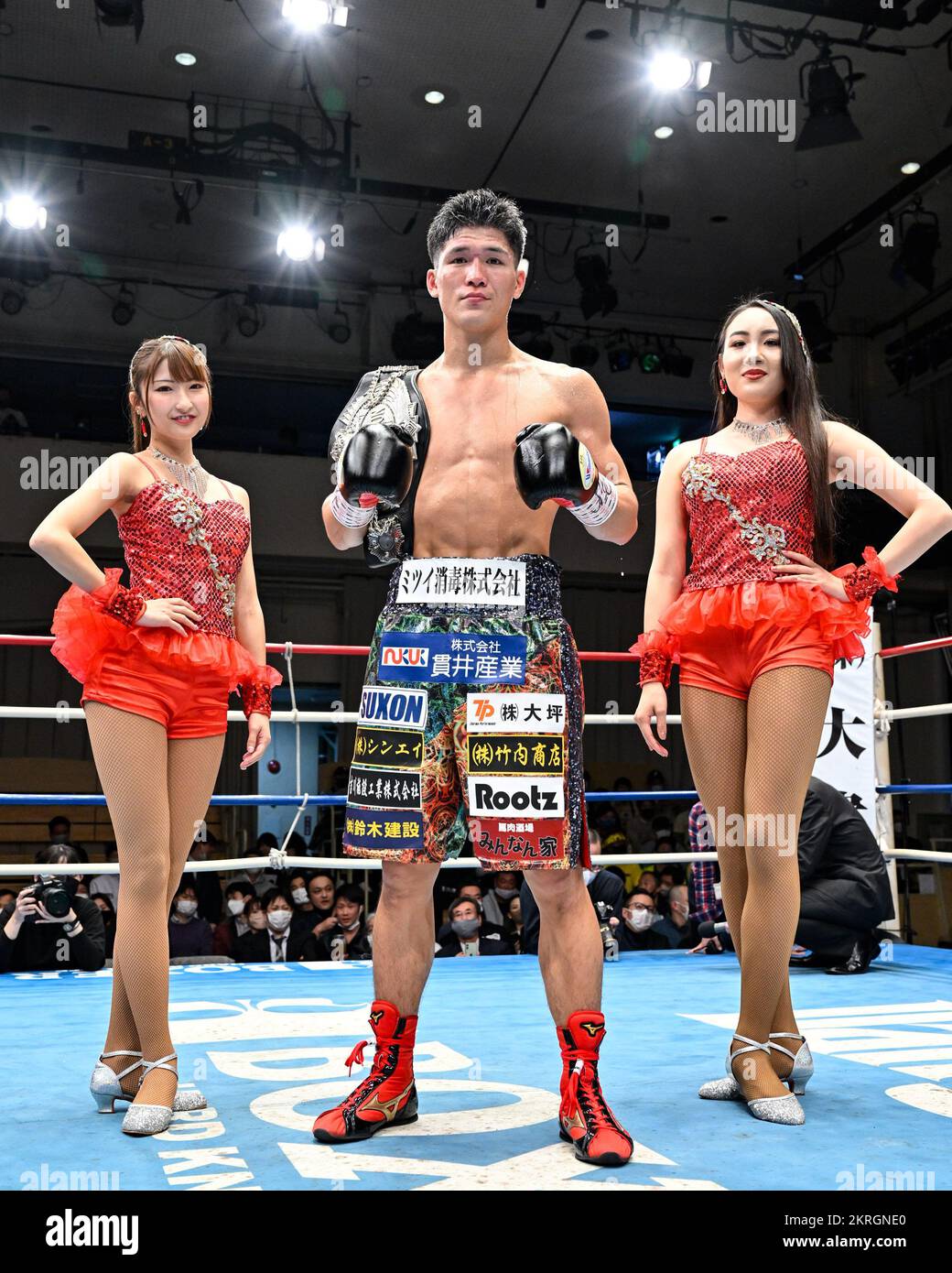 Boxing November 2022