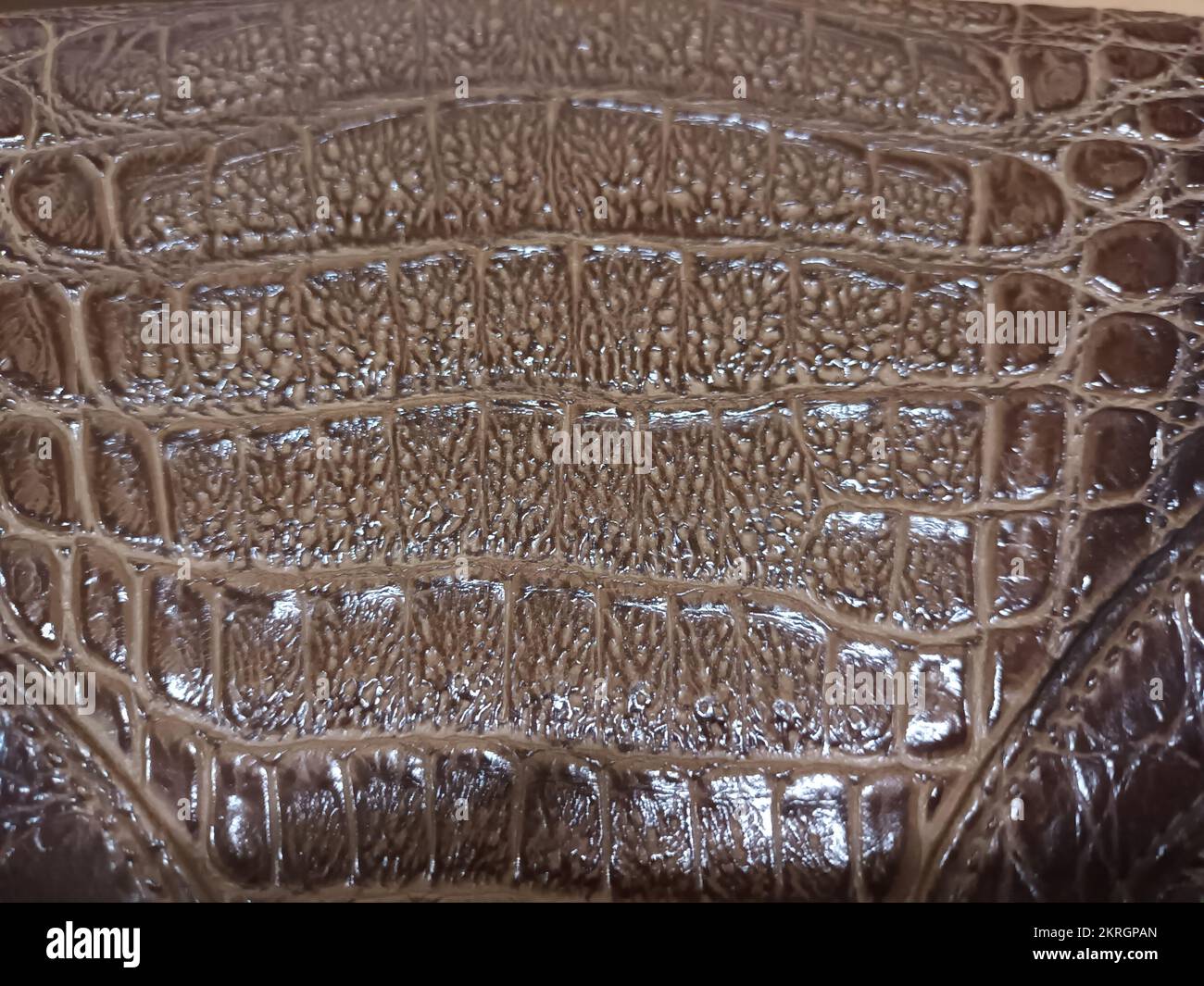 sneak skin or python skin brown texture background Stock Photo - Alamy