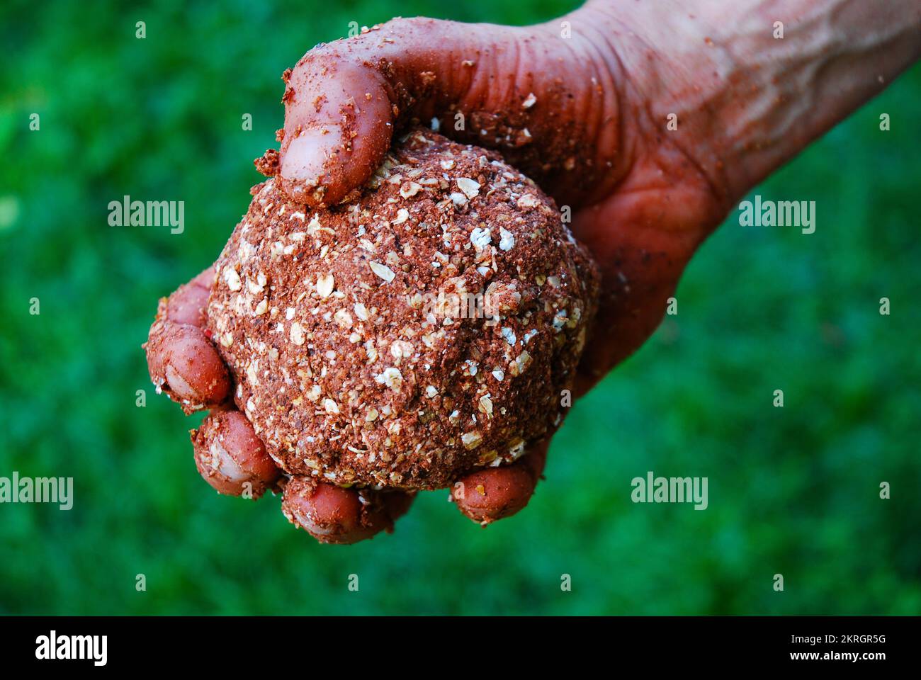 Protein ball in hand, bait for fish. Fishing ball for carp Stock Photo ...