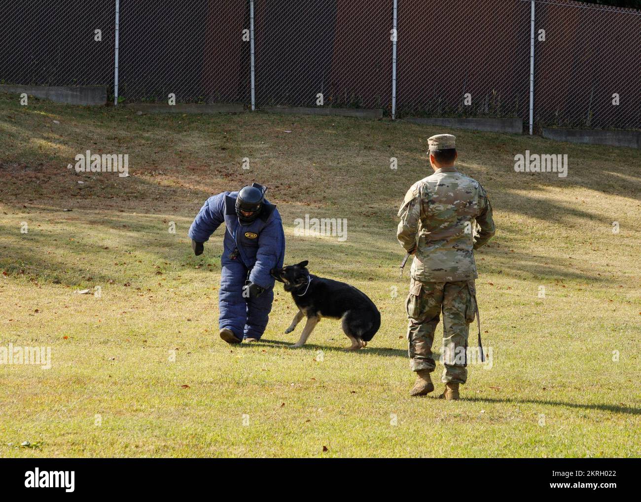 Military working dog handlers with the 901st Military Police Detachment ...