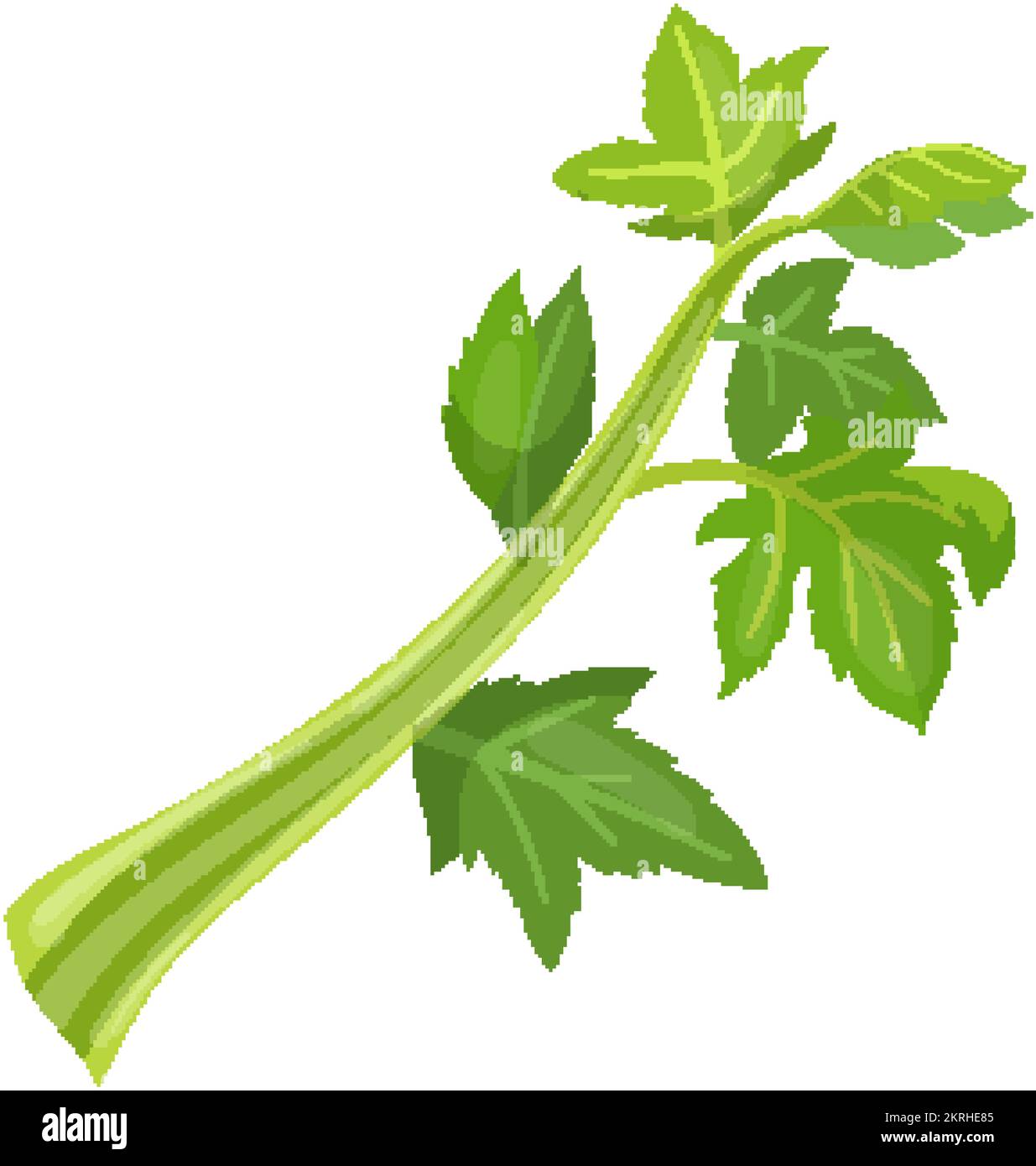 celery fresh cartoon vector illustration Stock Vector Image & Art - Alamy