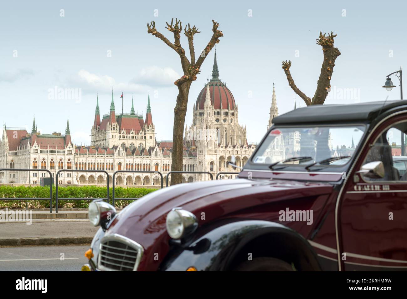 Vintage car against cut trees and Hungarian Parliament Stock Photo - Alamy