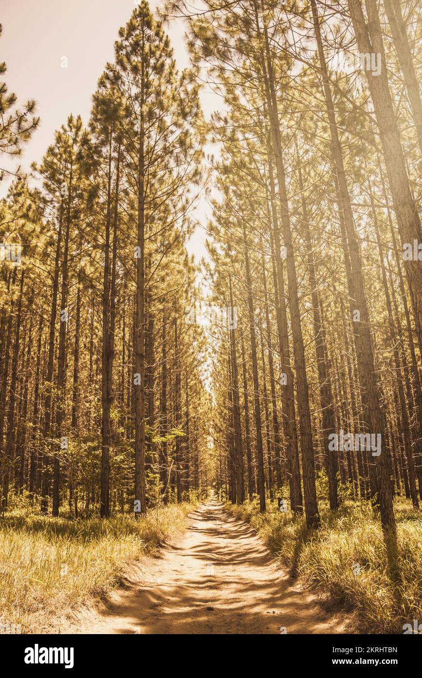 Elimbah queensland hi-res stock photography and images - Alamy