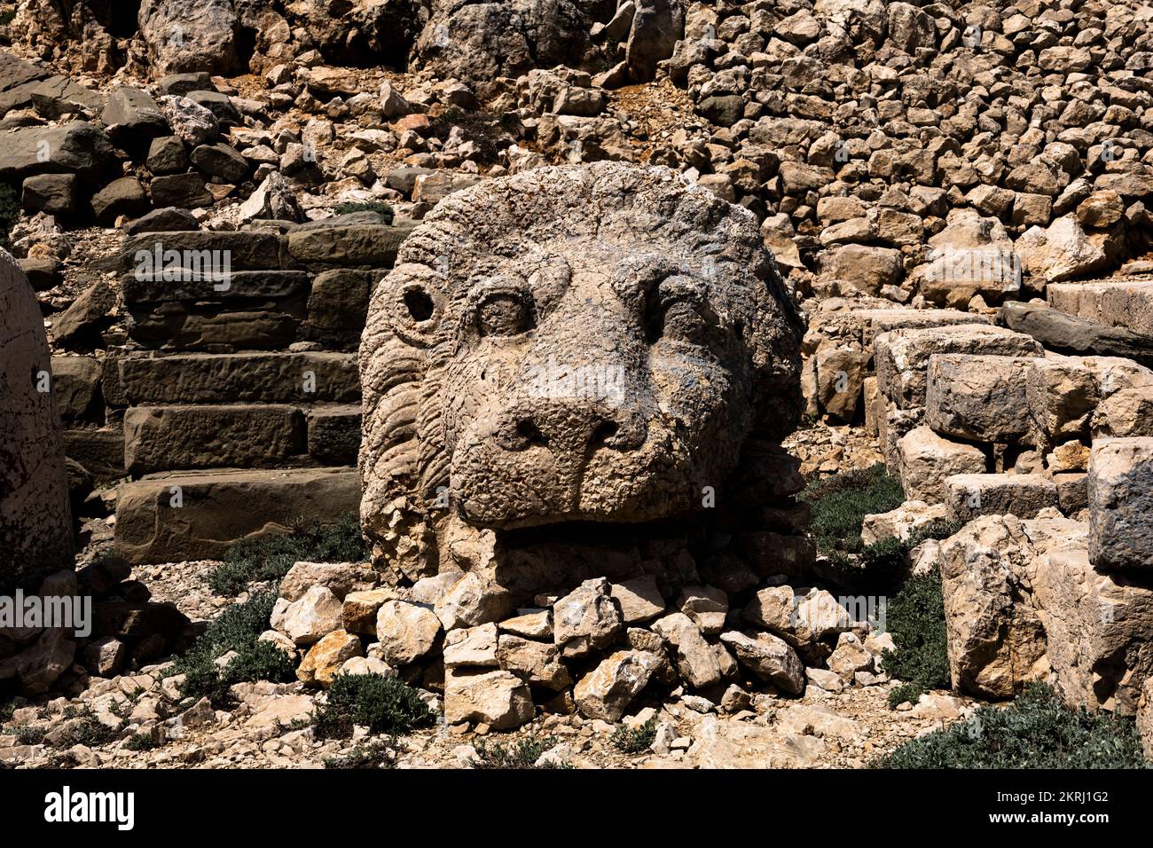 Mount Nemrut, Nemrut Dagi, east terrace, Lion head statue, Commagene ...
