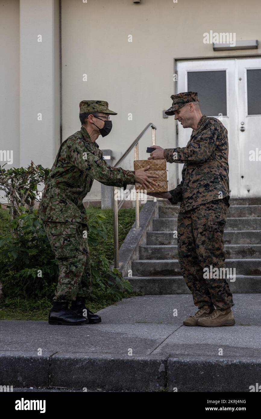 U.S. Marine Corps Col. Douglas Burke, the commanding officer of Combat ...