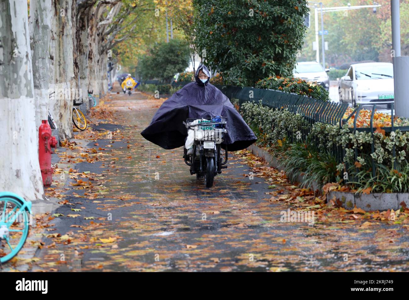 Affected by the strongest cold wave at the beginning of winter, fallen ...