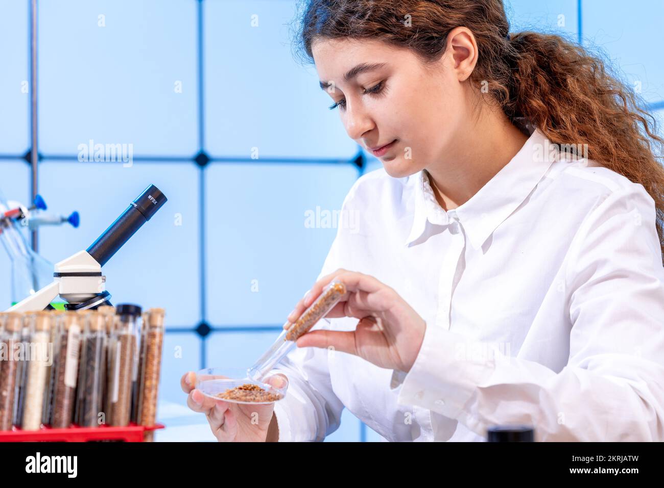 food quality inspection laboratory flax linen seeds in petri dish for ...