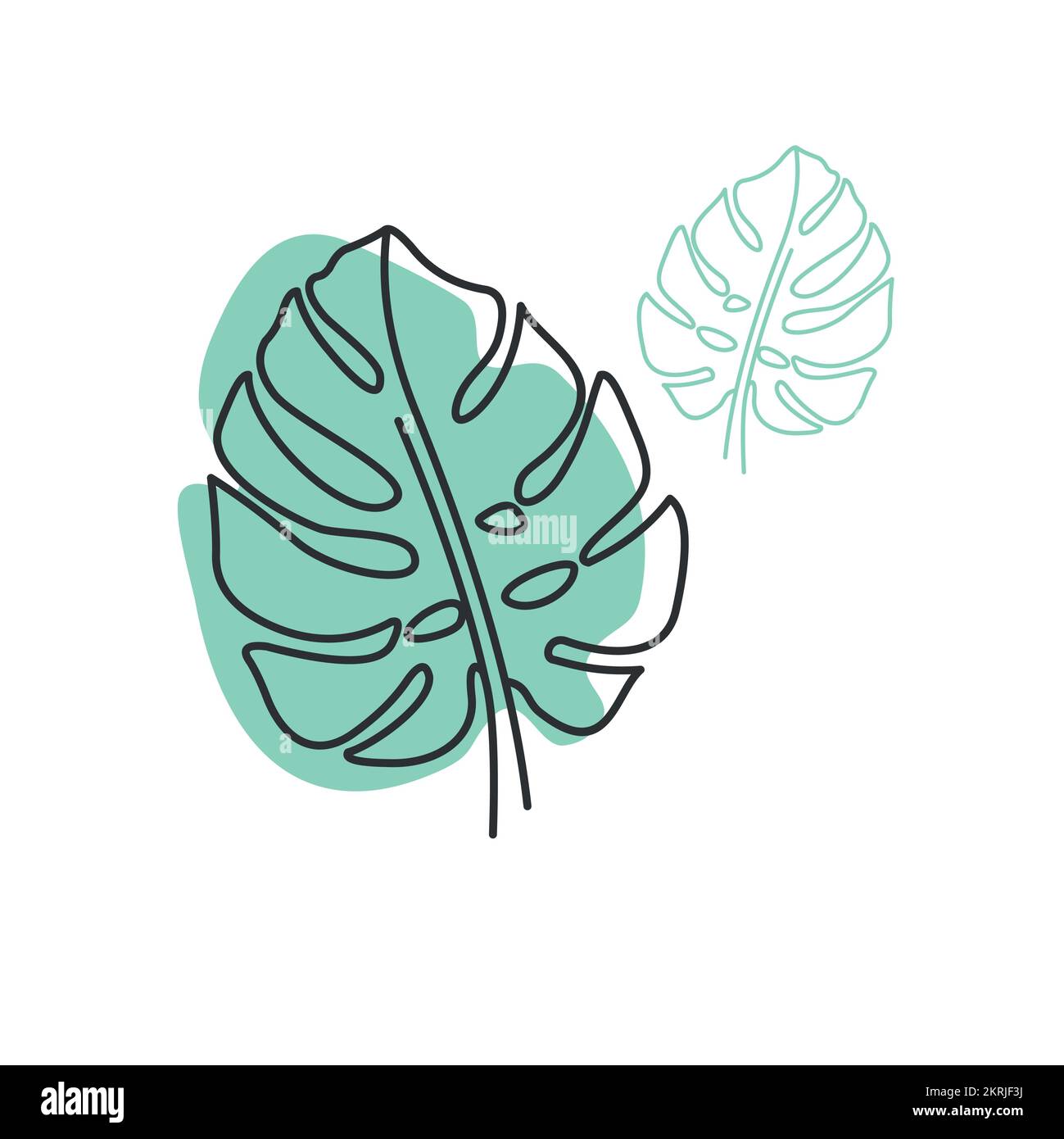 Monstera leaf. Tropical leaves design, Illustration Stock Vector Image ...