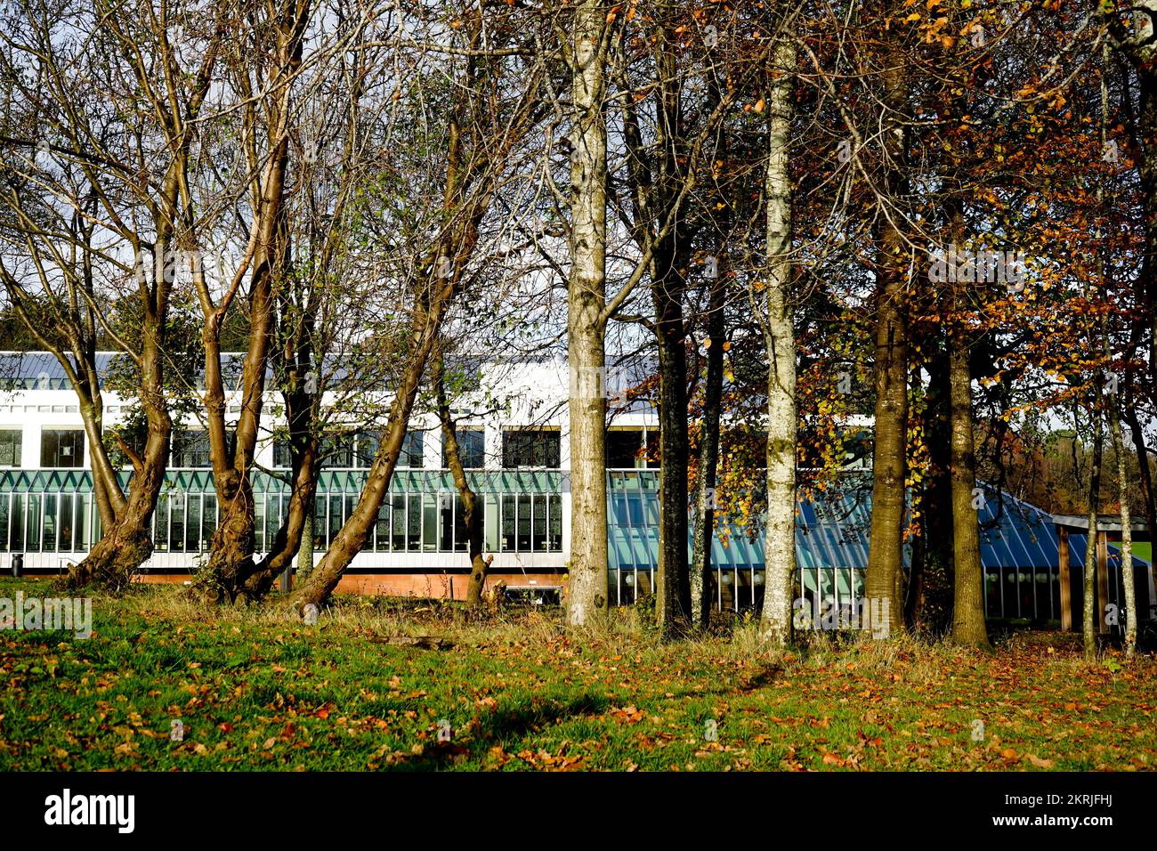 Burrell Collection, Glasgow, Scotland Stock Photo - Alamy