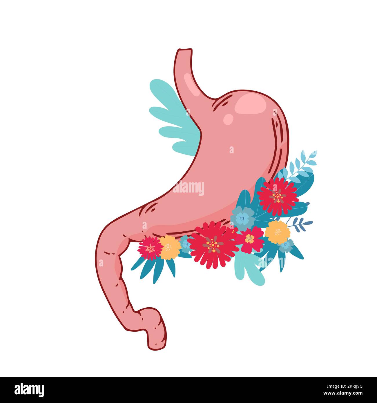 Human stomach. Internal organ, anatomy. Vector cartoon flat icon ...