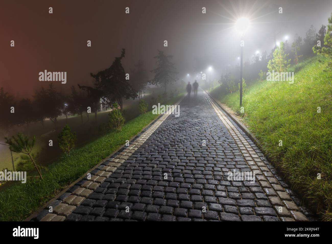 Foggy night scene trees bench hi-res stock photography and images - Alamy