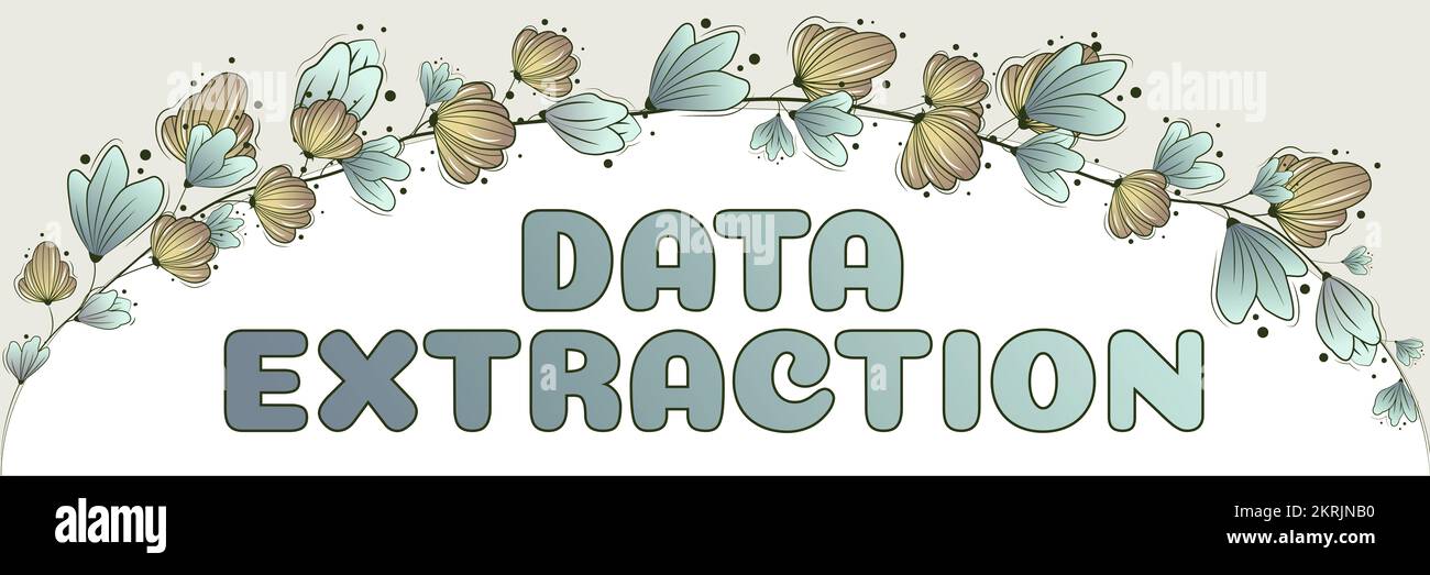 Text sign showing Data Extraction, Business concept act or process of ...