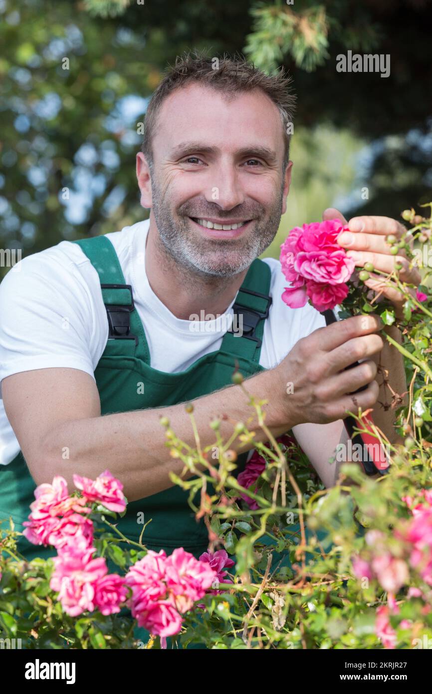 man gardener trimming and landscaping flowers Stock Photo - Alamy