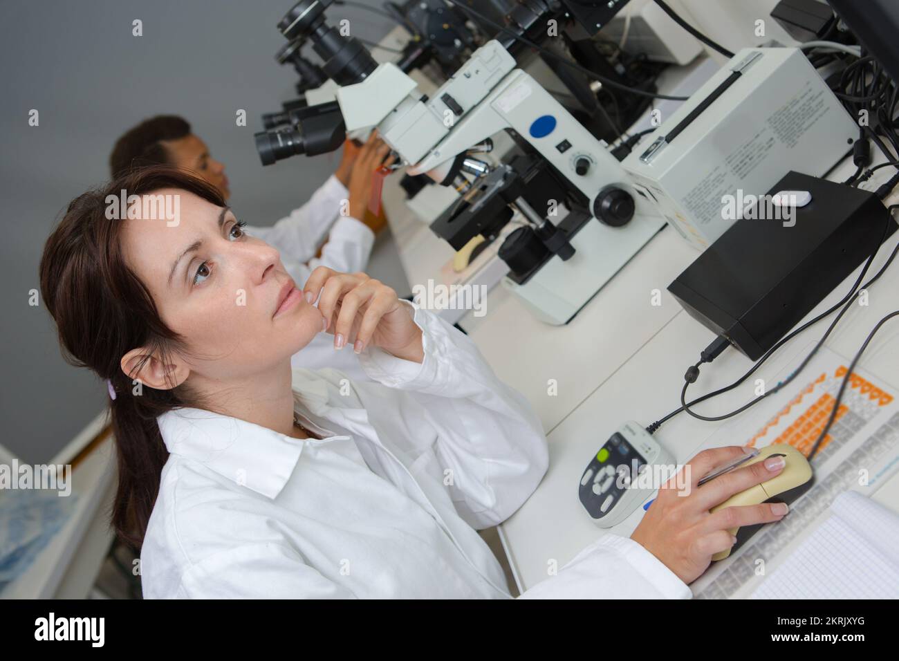 female scientist record an experiment in the laboratory Stock Photo - Alamy