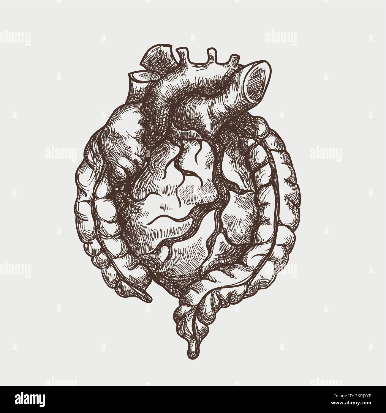 Mind heart connection hi-res stock photography and images - Alamy