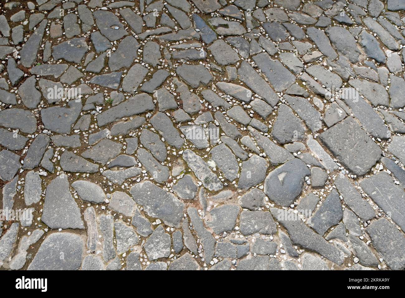 Paved stone paving stones hi-res stock photography and images - Alamy