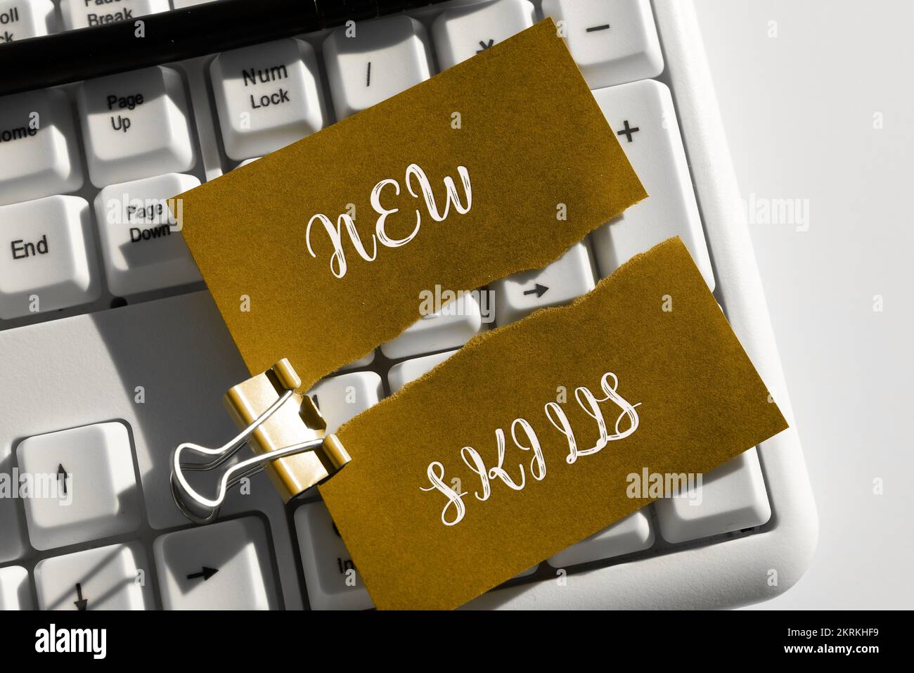 Text sign showing New Skills, Business idea Recently Acquired Learned ...