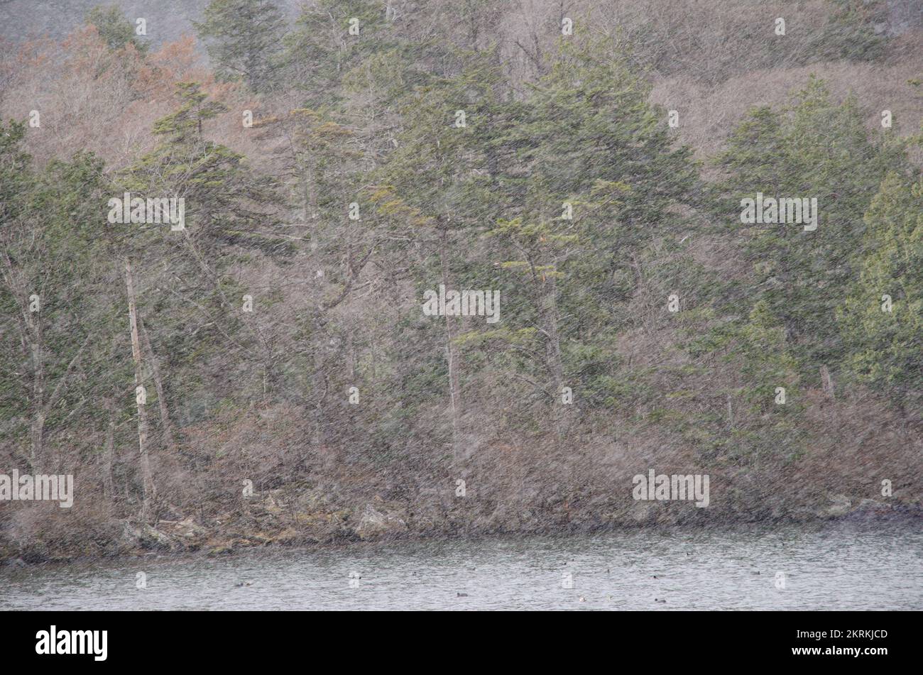 Blizzard over Lake Yunoto. Nikko National Park. Japan Stock Photo - Alamy
