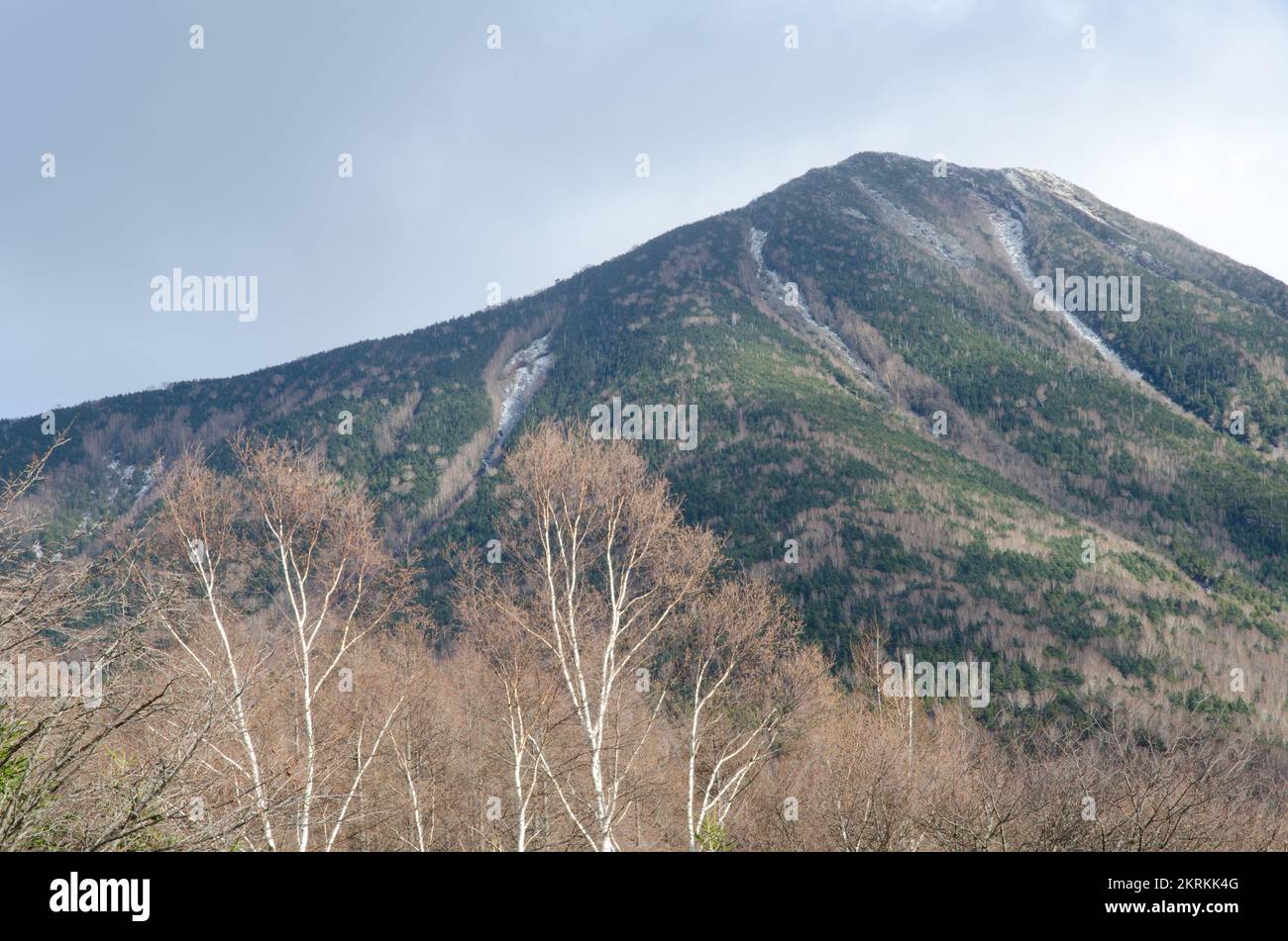 Forest and Mount Nantai. Nikko National Park. Japan Stock Photo - Alamy
