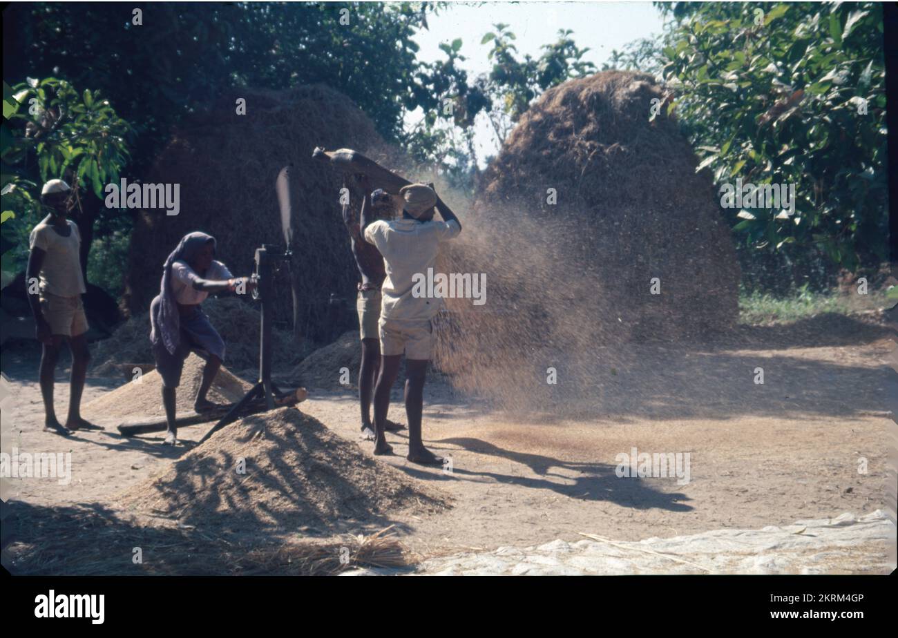 The process of removal of husk from the cotyledons is called dehusking ...