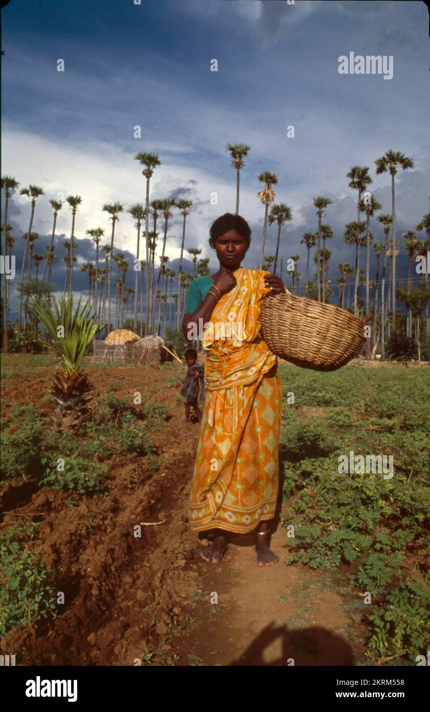 Tulsampatti hi-res stock photography and images - Alamy