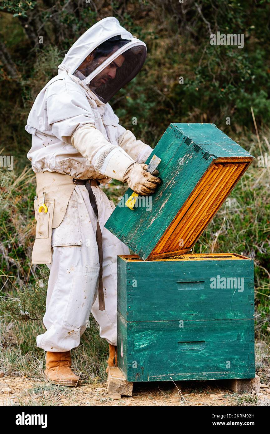 Side view of male beekeeper in protective uniform and gloves carrying ...
