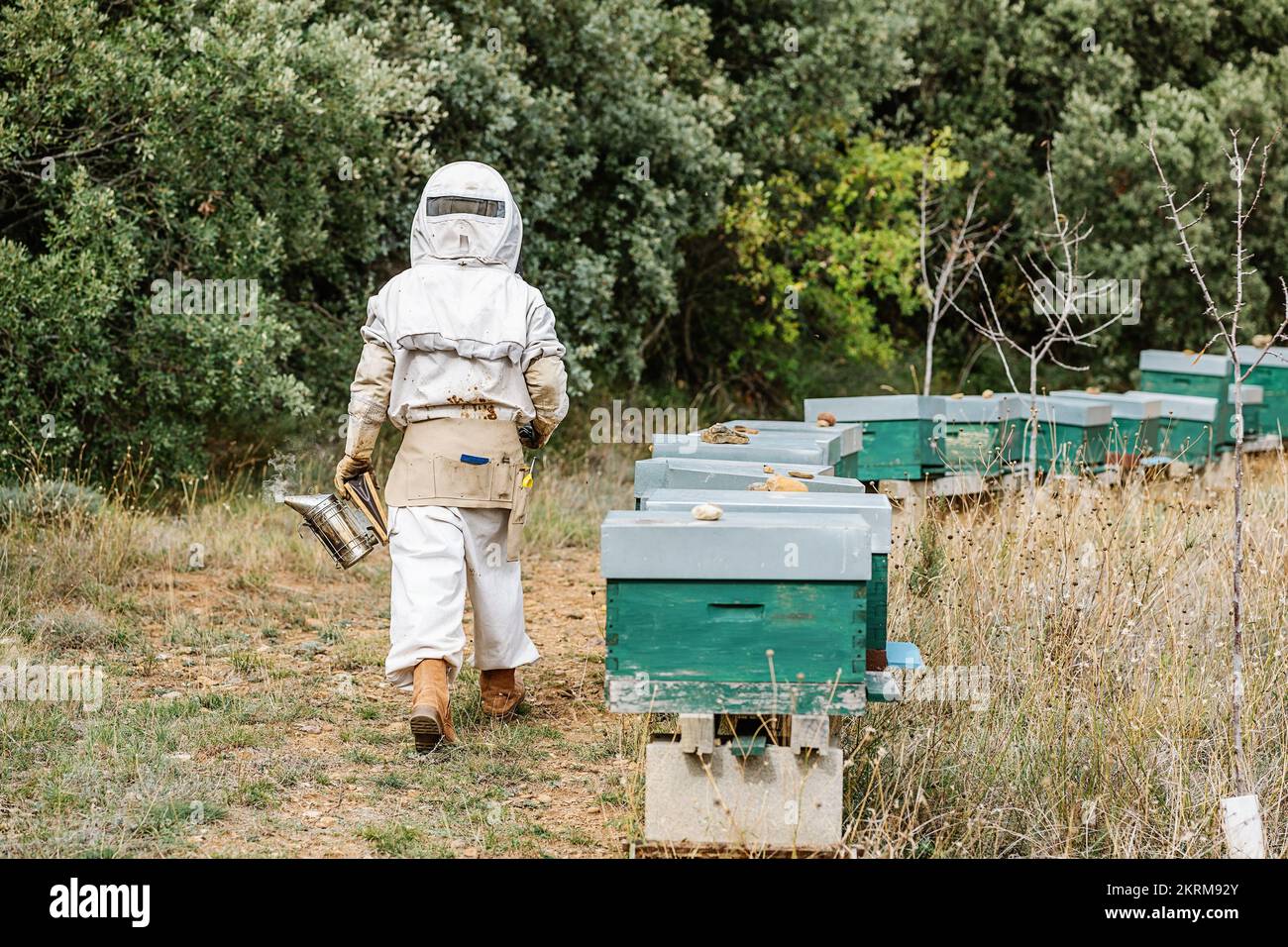 Back view male village owner hi-res stock photography and images - Alamy