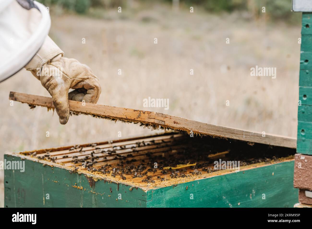 Beehive opening hi-res stock photography and images - Alamy