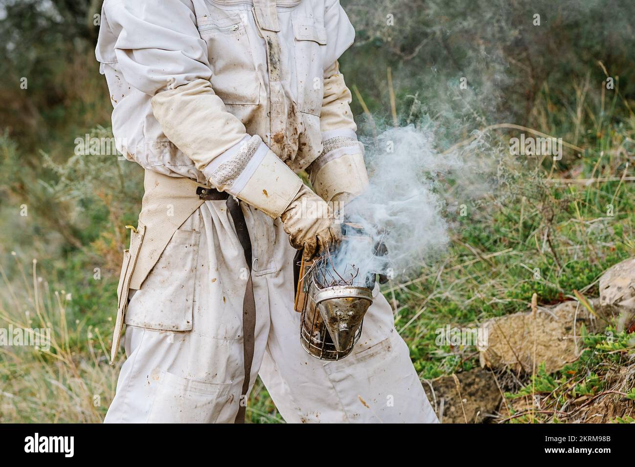 Side view of cropped unrecognizable male beekeeper in protective ...
